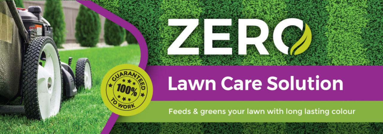 Paraic’s Tips For Your Garden In November - Horkans Garden Centre